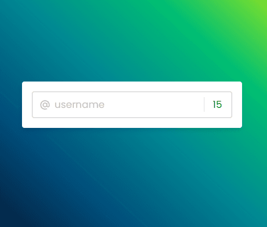 Pure CSS animated input with floating label Example