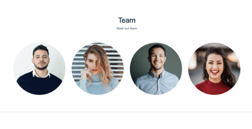 Bootstrap 4 Team Members Showcase Example