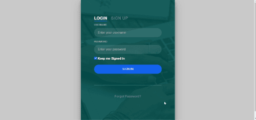 login Snippets Examples