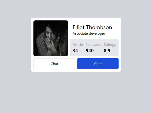 tailwind Snippets Examples