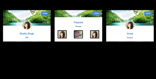 Bootstrap 4 Player profile using animation Example