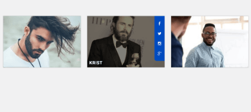 Bootstrap 4 User profile with social icons Example